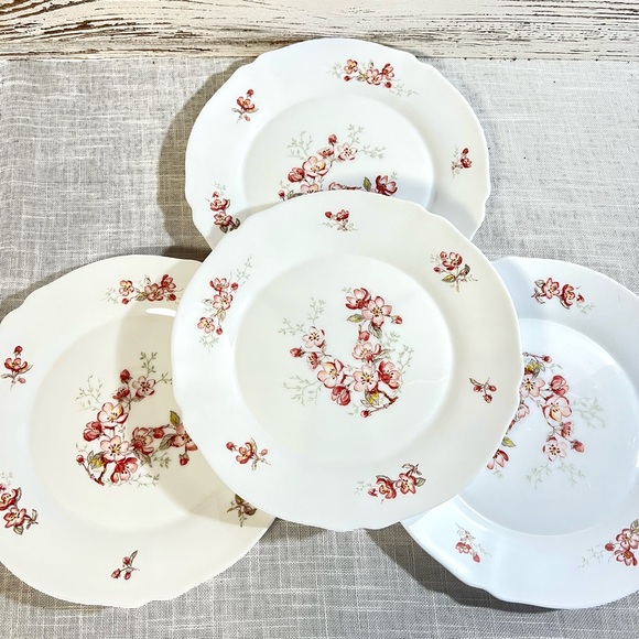 Arcopal | Dining | Vintage Arcopal France Pink Flower Dinner Plates ...